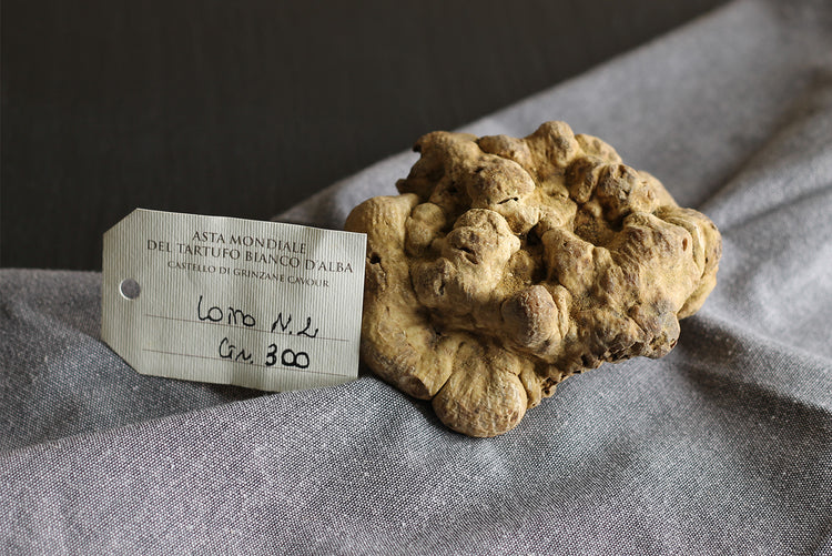 How To Cook With Truffle – Di Bruno Bros.