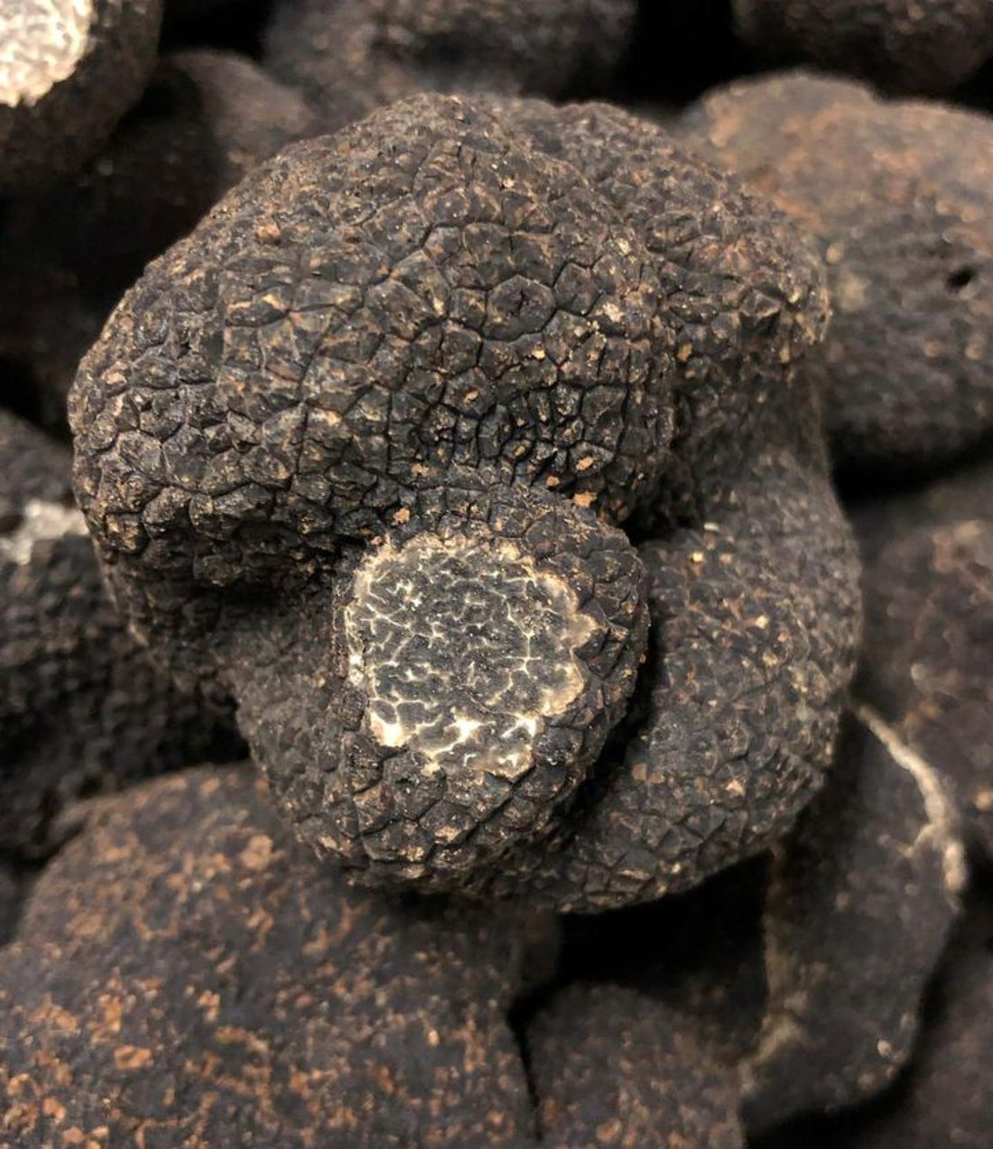 Fresh Winter Black Truffles (Périgord) – Di Bruno Bros.